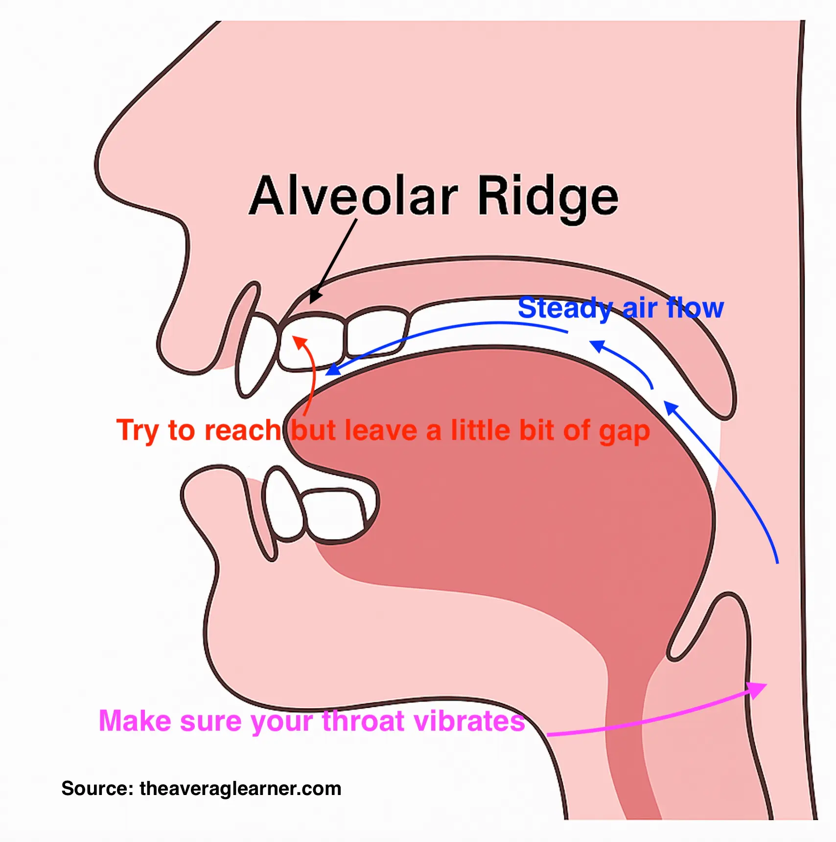 How To Pronounce Double R In Spanish? - The Average Learner